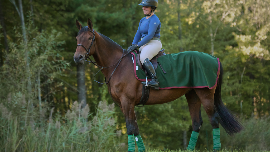 Which Quarter Sheet Is Right For You? – Saratoga Horseworks