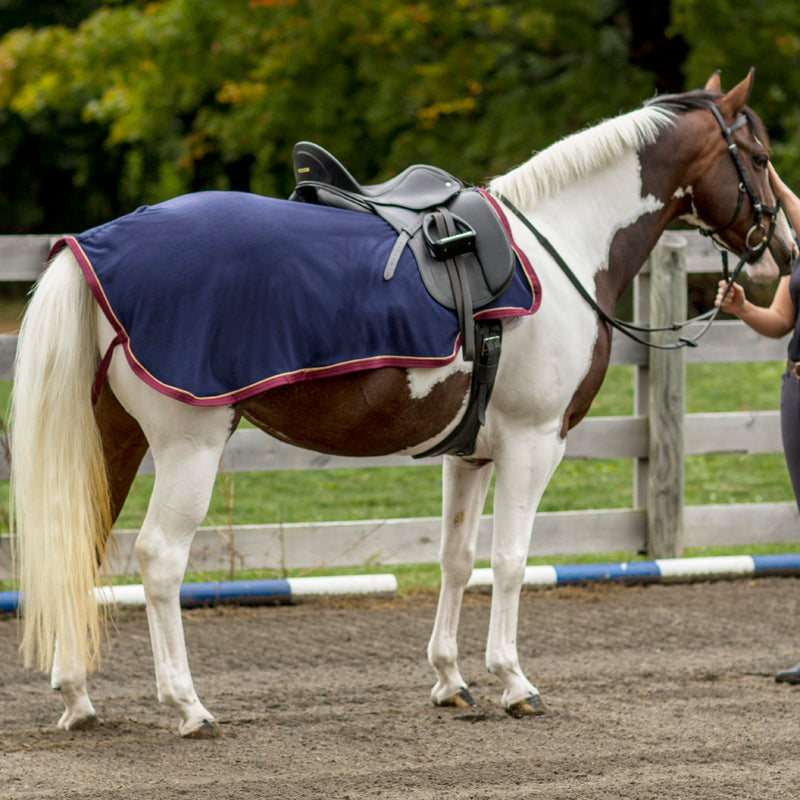 **PRE-CUT** Microfleece Riding Blanket – Saratoga Horseworks