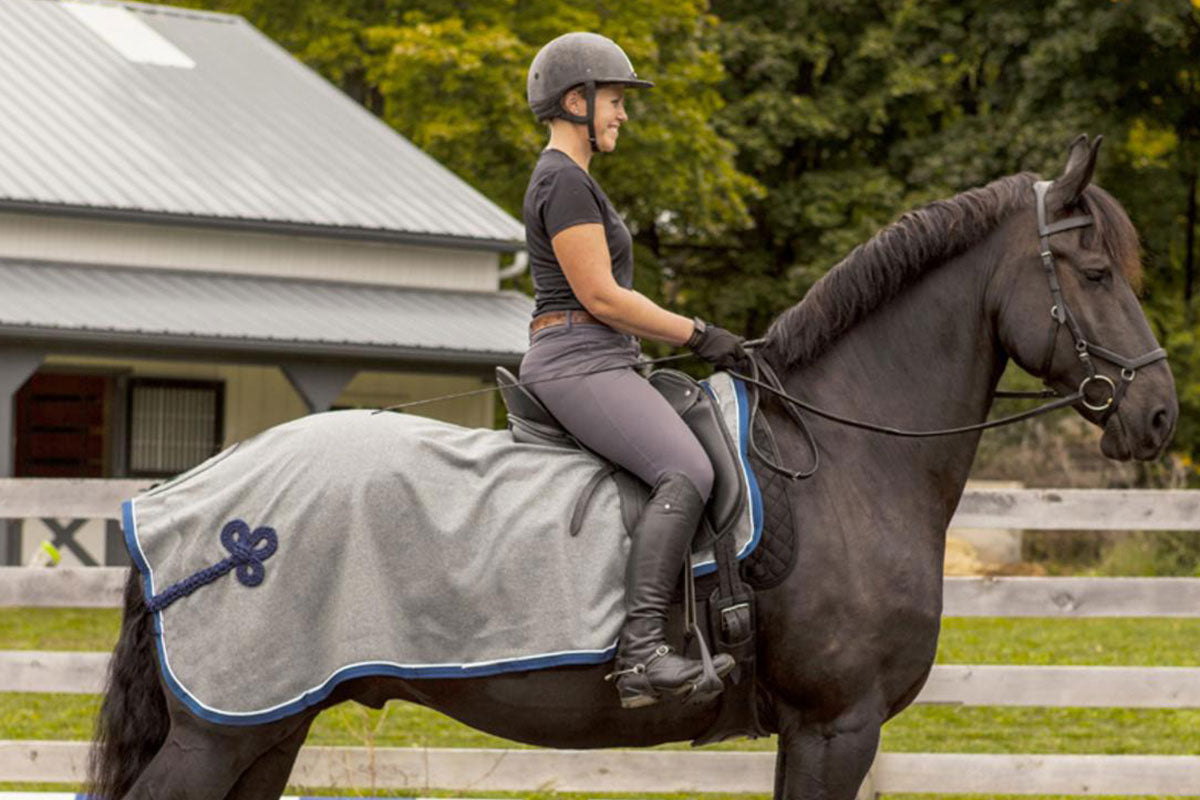 The Wool Exercise Rug – Saratoga Horseworks